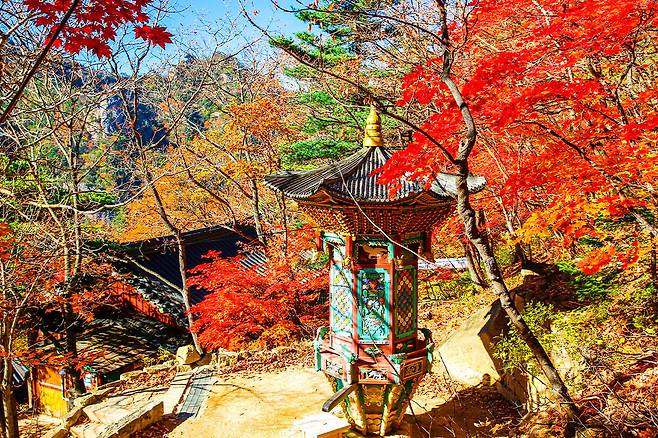 역사와 자연이 만들어낸 숨겨진 비경 가장 한국적인 가을 풍경을 담은 여행지 여행을말하다
