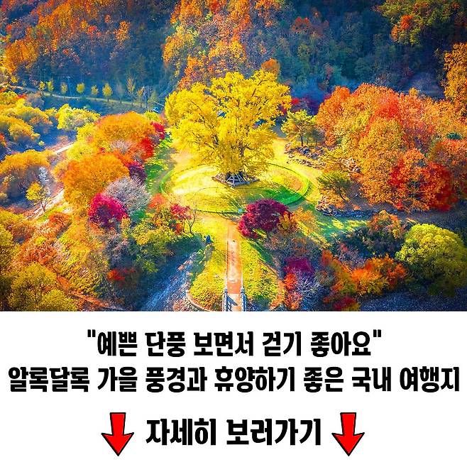 발길이 닿는 곳곳마다 한폭의 그림 같아 힐링 명소로 떠오르는 가을 여행지 여행을말하다