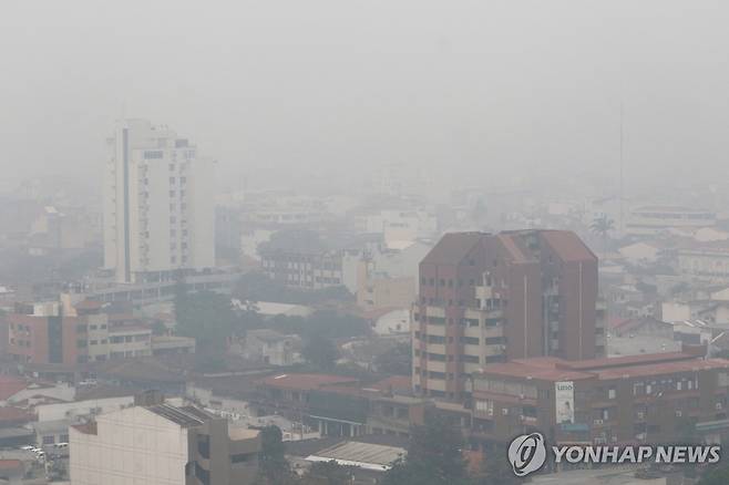 볼리비아 집어삼킨 산불한반도 절반 면적 불에 탔다