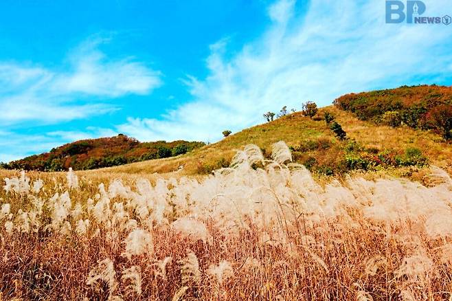 출렁다리만 유명한 줄 알았나요 가을 절경 숨겨진 자연명소 2곳 여행탐구
