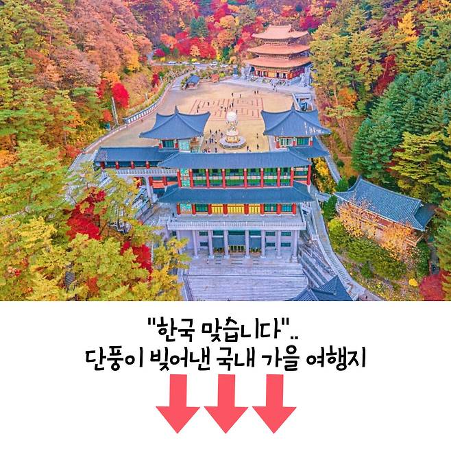 출렁다리만 유명한 줄 알았나요 가을 절경 숨겨진 자연명소 2곳 여행탐구