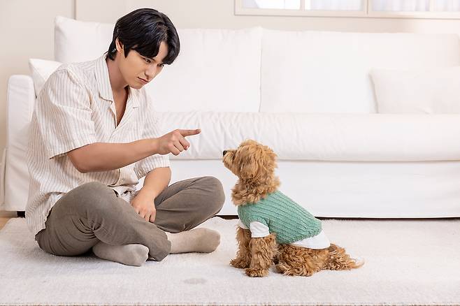 내가 강아지에게 엄격한 이유 부모에게 배운 ‘양육 방식 때문일 수도