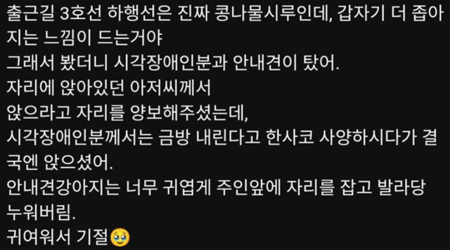 만원 지하철서 드러누운 안내견 시민들은 단잠을 지켜줬다