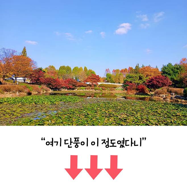 관광 필수코스 등극한 ‘k 등산 외국인들 반응이 뜨거운 이유는 여행탐구