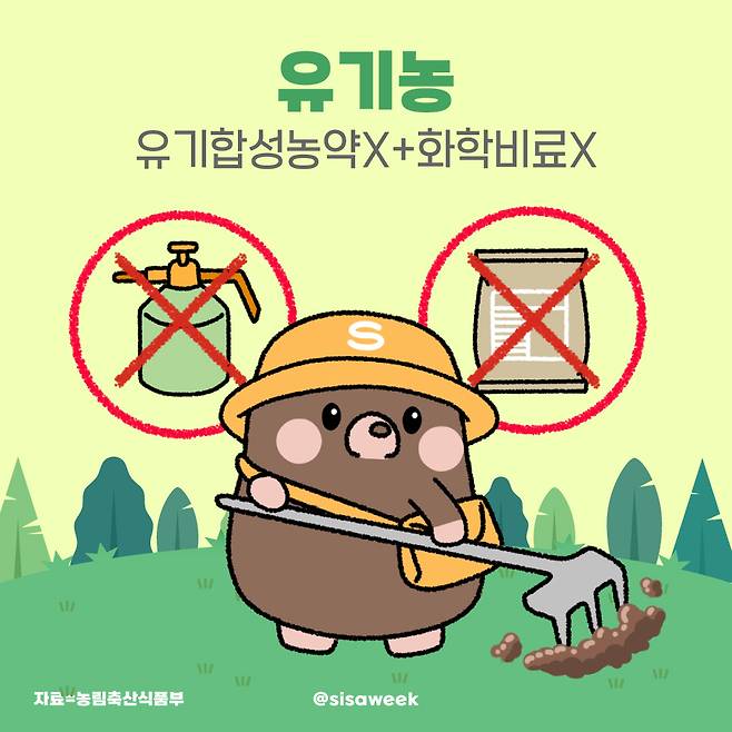 친환경 무농약 유기농 무슨 차이일까 모리잇수다