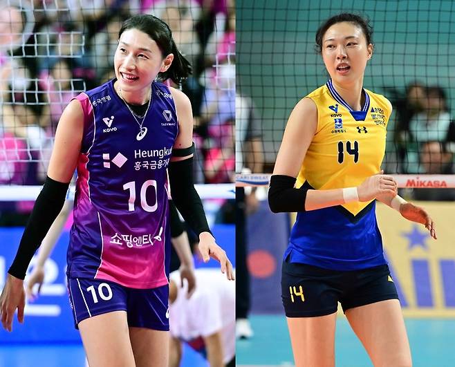 올 시즌도 1 2위는 분홍vs노랑 싸움 이변 불허의 양강 흥국생명 현대건설