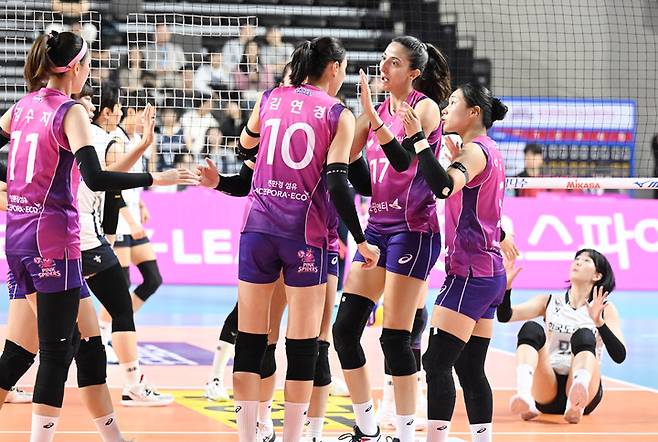 올 시즌도 1 2위는 분홍vs노랑 싸움 이변 불허의 양강 흥국생명 현대건설