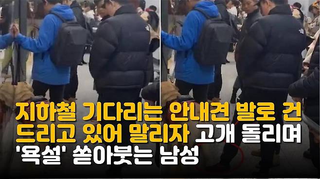 집사랑 함께 산책하러 나온 강아지가 개모차에 앉아있는 독특한 자세 애니멀 플래닛