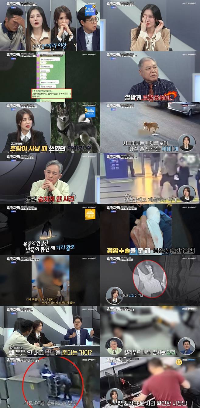 히든아이 길고양이 50마리 죽인 학대범