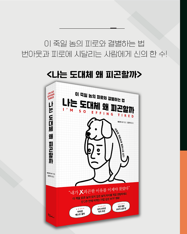 회사 점심 시간에도 가능한 내 일정에 맞는 간헐적 단식 유지하는 법 책읽찌라