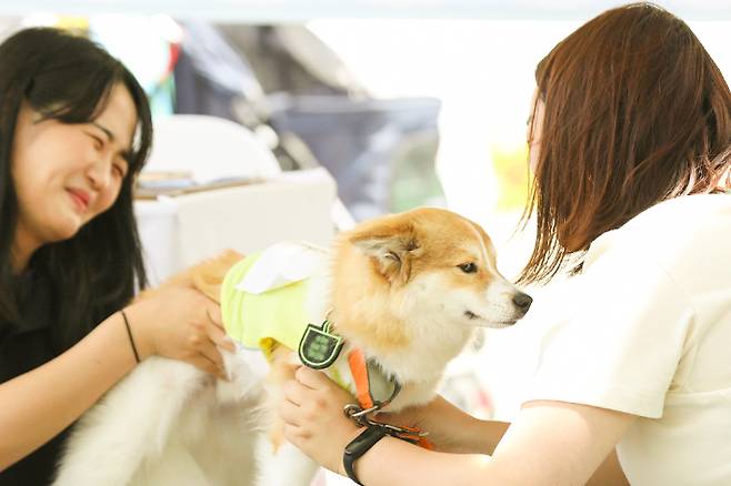 롯데아울렛 동부산점서 최대 규모 펫 페스티벌 열려