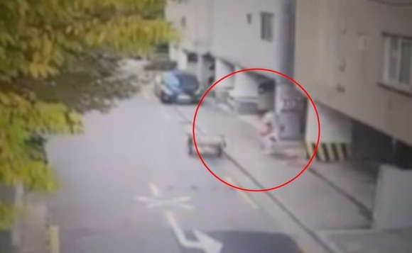 폐지 줍는 줄 알았는데손수레 끌며 골목 돌아다닌 남성이 벌인 행동