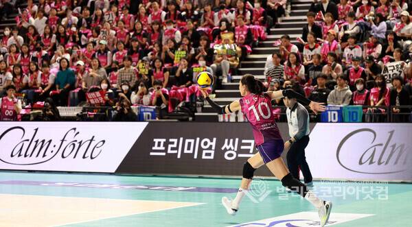 삼각편대 김연경 정윤주 투트쿠 63점 합작 흥국생명 9연승 질주 디펜딩챔피언 현대건설 2번째 맞대결 셧아웃
