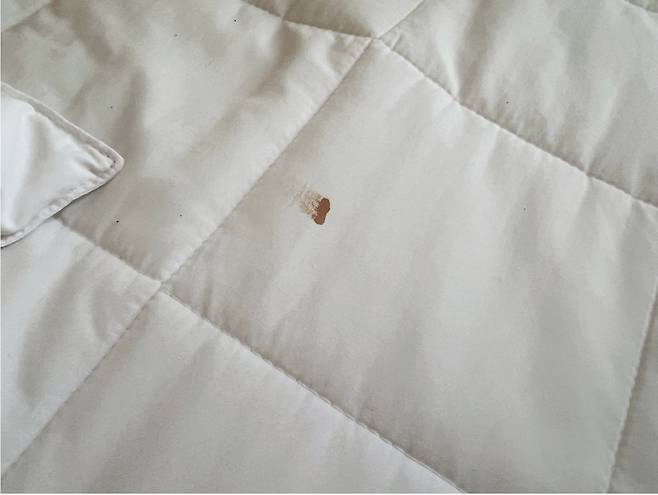 이불에 핏자국 묻었다면 이걸로 지우면 말끔해져요~ 오늘살림루틴