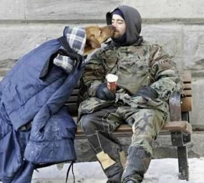추위 떨고 있는 자신에게 이불 덮어준 노숙자에게 고마운 강아지의 행동 애니멀 플래닛