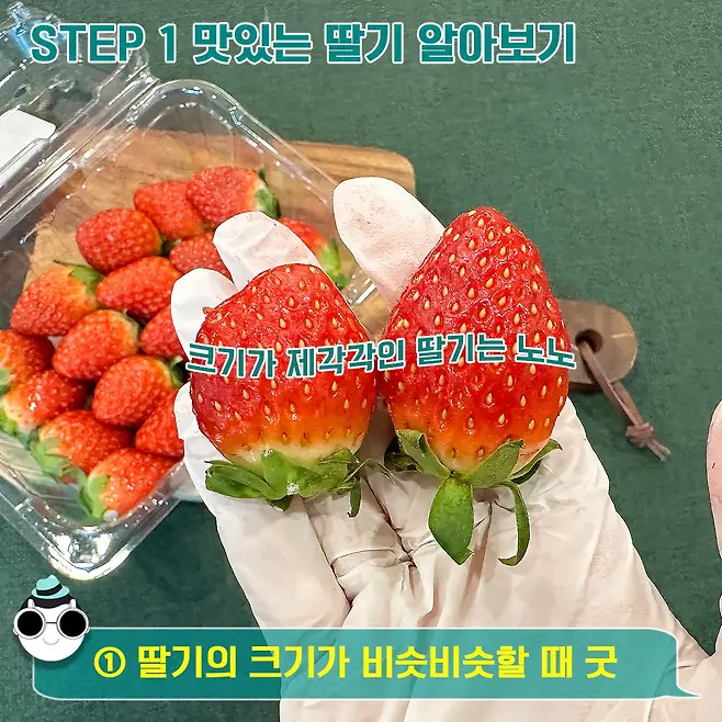 마트에서 딸기 고를 때 이거 딱 하나만 보면 된다고 밥심