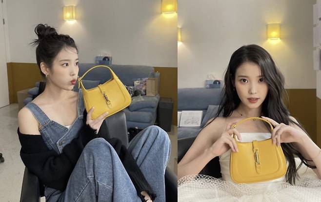 아이유가 들어서 난리난 귀여운 명품 미니백은 웰니스라이프
