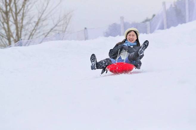춘천 남이섬에서 출발하는 겨울왕국2024 Winter Wonder Namiisland 인포매틱스뷰 세상모든여행정보