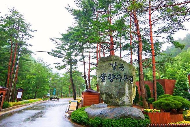 돈 안 드는 힐링 남다른 감성 자랑하는 무료 산책 명소 2곳 여행탐구
