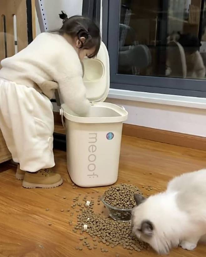 딸에게 고양이 사료 좀 챙겨달라고 부탁했더니 잠시후 벌어진 상황 애니멀 플래닛