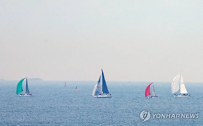 임시개장하는 진해 명동마리나해양계류시설 사용 신청 저조