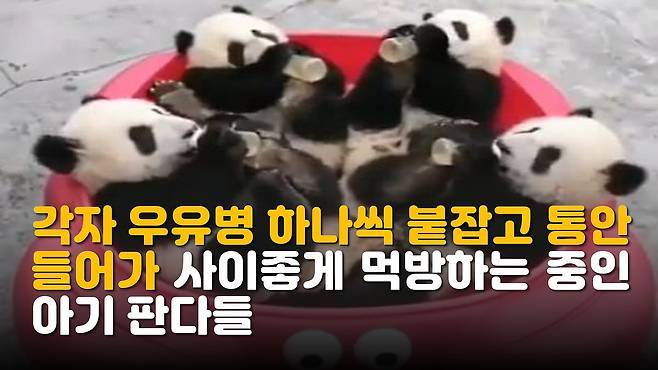 흔한 남편이 아내 대하는 모습 심리테스트 해볼래