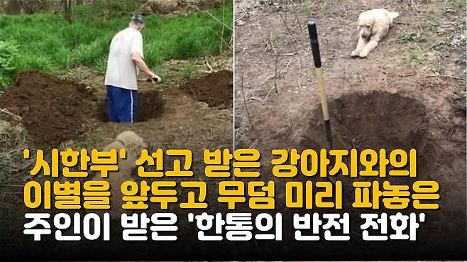 뜯겨진 생수 묶음 속에 들어가 얼굴 빼꼼하는 고양이의 이해불가 행동 애니멀 플래닛