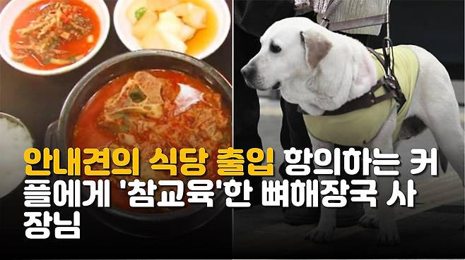 숙제하는 도중 스마트폰 보고 딴짓 할까봐 매의 눈으로 감시 중인 강아지 애니멀 플래닛