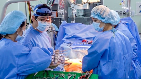 내년 산부인과 전공의 지원자 단 1명·흉부외과 2명에 그쳐