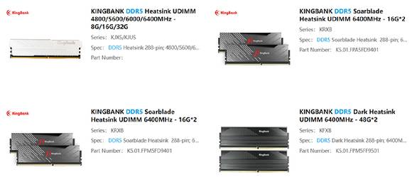 중국 창신메모리 제품으로 추측되는 'DDR5' 출시