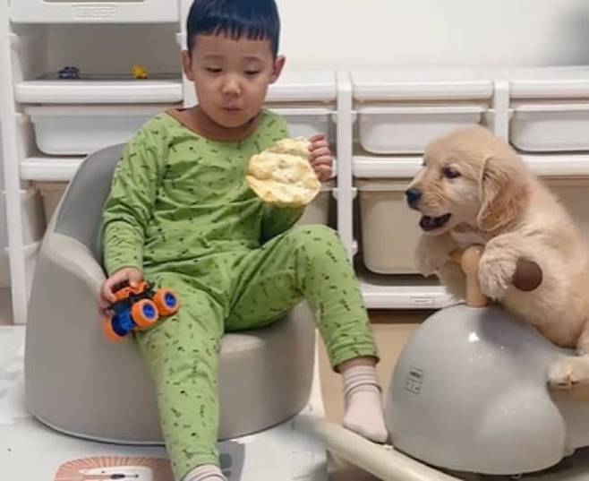 아들한테 강아지랑 놀아달라고 했더니 잠시후 눈앞에 벌어진 반전 상황 애니멀 플래닛