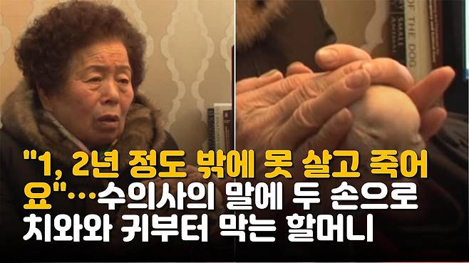 짤막한 다리로 아등바등하면서 아기 붕붕카에 올라타는 아기 판다의 뒷모습 애니멀 플래닛