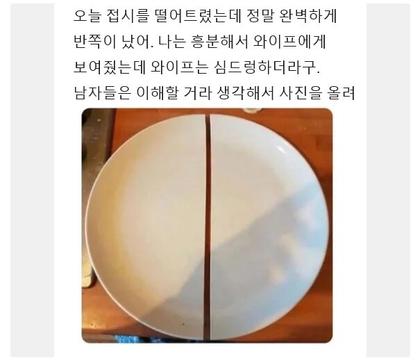 남자들은 이해할 거라 생각해서 사진을 올림 루리웹 유머