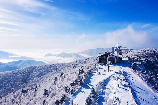 춥다고 집에만 있으면 손해 놓치지 말아야 할 설경 명소 추천 여행을말하다