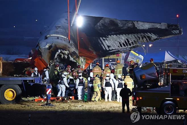 제주항공 참사 무안 등 대부분 공항이 새 서식지조류충돌 대책 절실