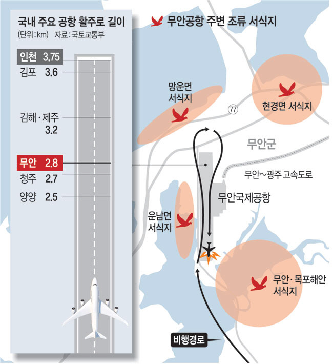 공항 주변 철새도래지 4곳 퇴치인력은 청주공항의 절반