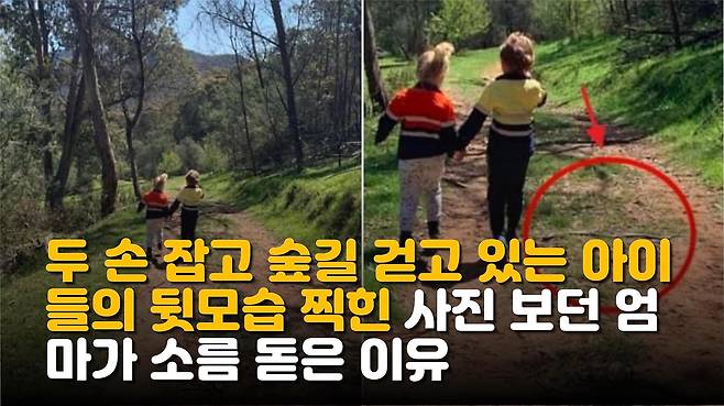 차량에 올라타기만 하면 불안해 하는 동생 위해서 오빠 강아지가 한 행동 애니멀 플래닛