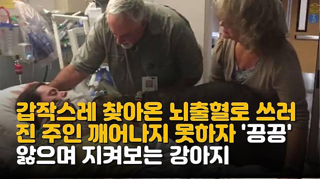 우주선 Ufo에 빨려 들어가는 것 아니냐고 난리난 고양이 사진의 실체 애니멀 플래닛