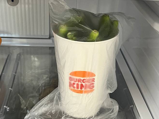 고추 그냥 보관하지 마세요 여기에 담으면 신선함이 그대로 꿀하우스