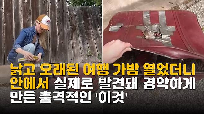 맥주 공장에 다니면 좋은점 심리테스트 해볼래