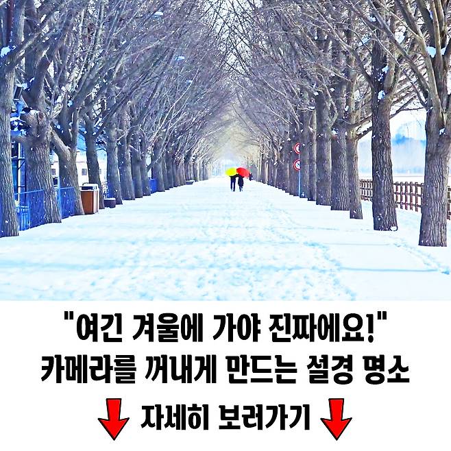 빛과 낭만 2025년 첫 야경과 설경을 즐길 파주 명소 여행을말하다