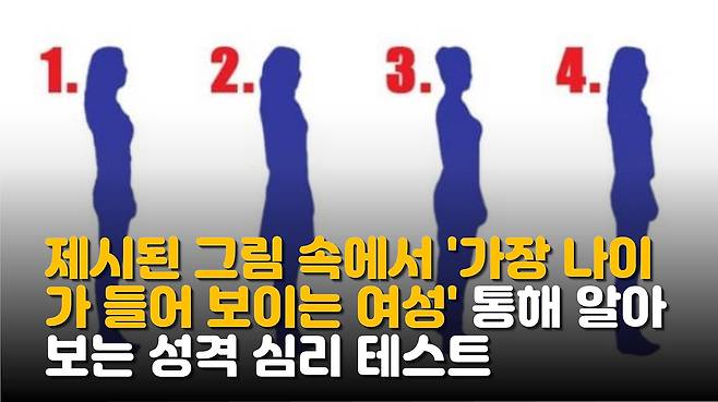 미용비 아끼려고 엄마한테 고양이 셀프 미용 부탁했다가 1초만에 후회한 이유 애니멀 플래닛