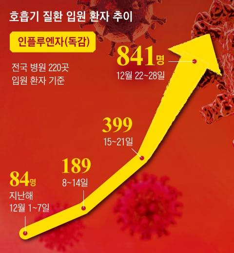 독감 입원 한달새 10배 4대 호흡기질환 설 연휴 최대 고비