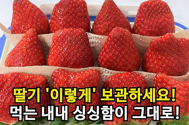 계란 더 이상 물에 삶지 마세요 키친타월 한 장이면 맛있는 계란이 됩니다 텐꿀팁