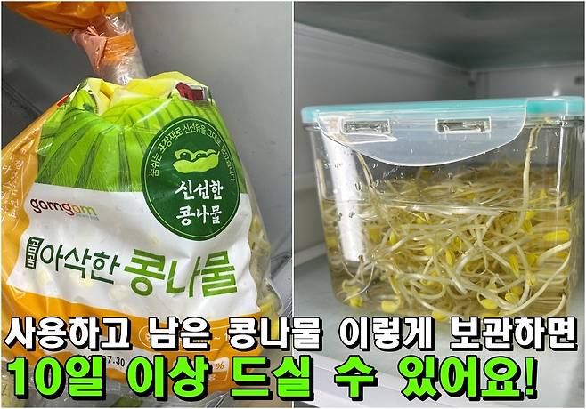 남은 고추 이렇게 안 하고 그냥 버리면 바보입니다 생활의지혜
