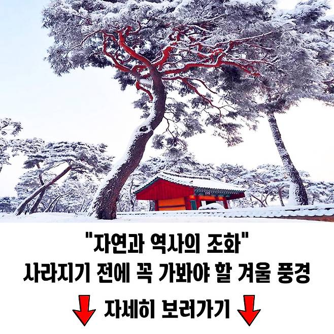 눈 내린 풍경 속 온천 추운 겨울 최고의 힐링 명소 여행을말하다