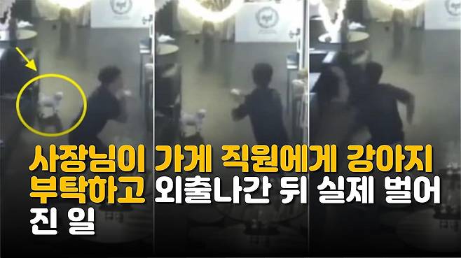 강아지가 수북하게 쌓인 눈밭에 엉덩이 깔고 앉아서 바라보고 있는 이것 애니멀 플래닛