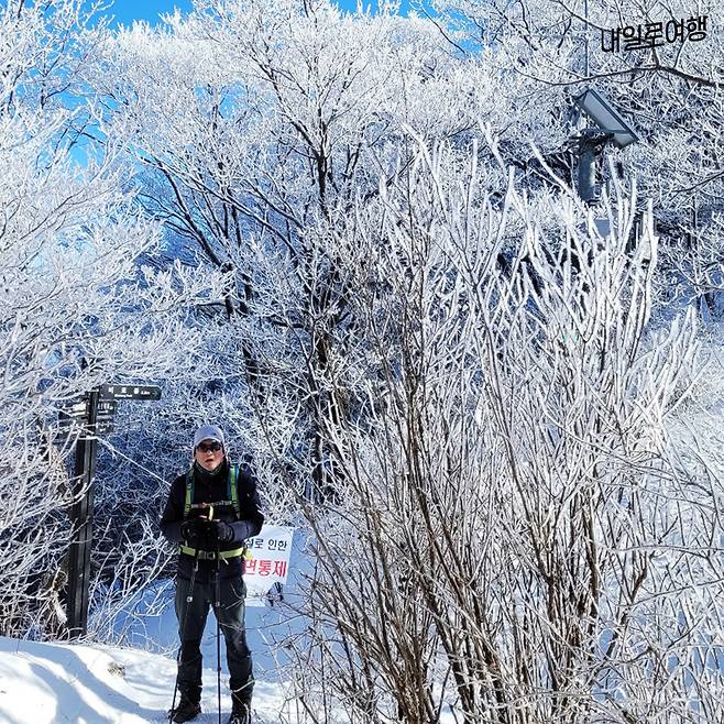 눈꽃 속으로 떠나는 여행🌨치악산의 겨울 내일로여행