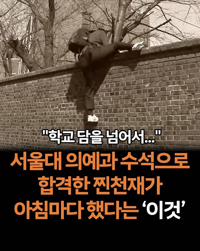 서울대 의예과 수석으로 합격한 찐천재가 아침마다 했다는 이것 꿀벌책방