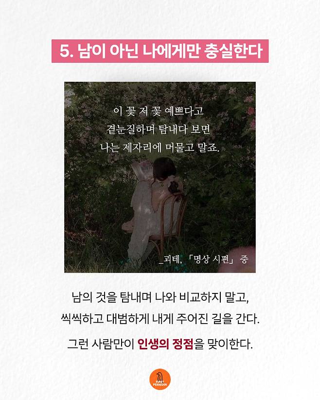 30대 넘으면 가장 부러워지는 유형 1위 퍼스트펭귄